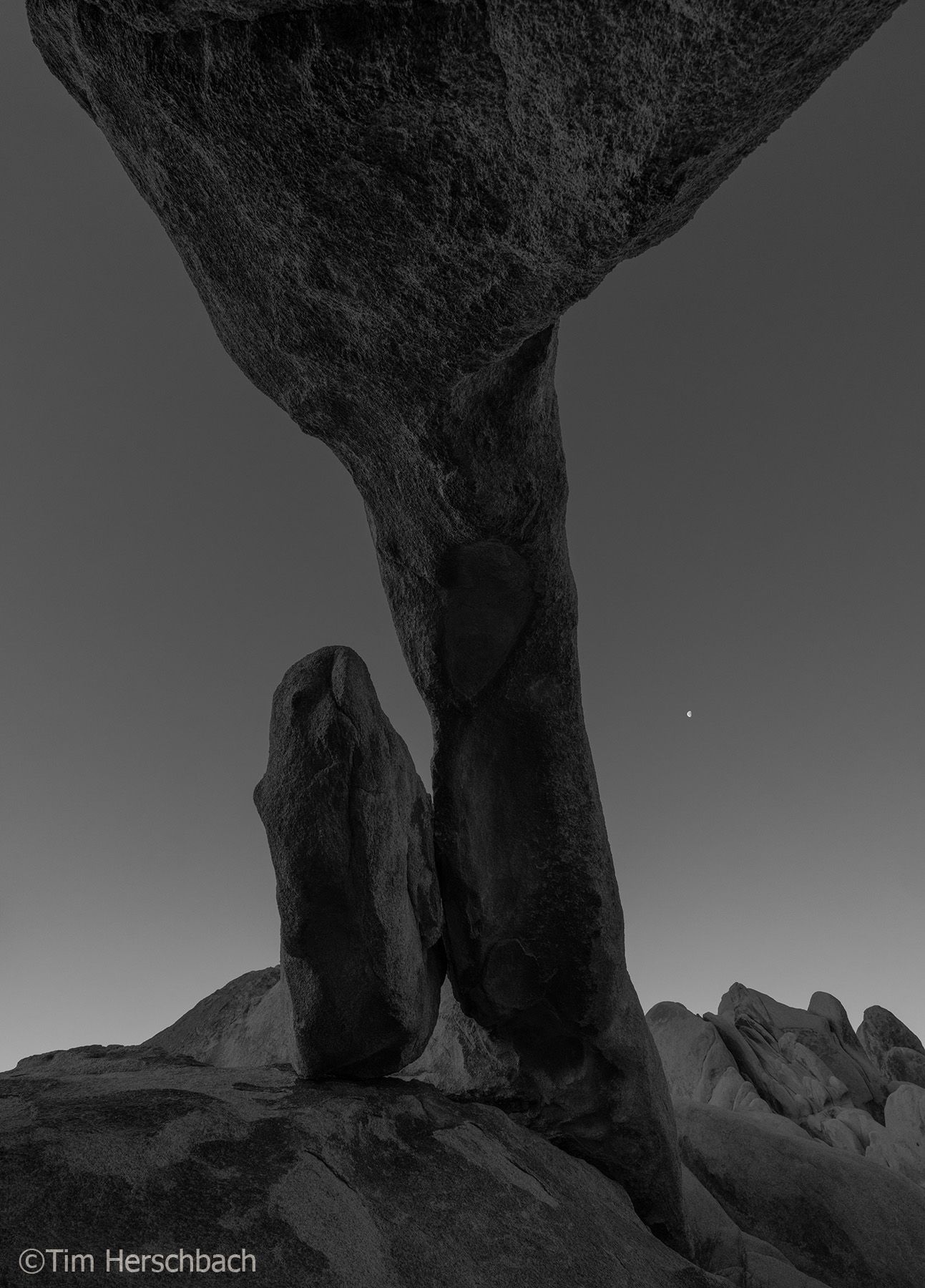 Arch Rock with Moon | Joshua Tree National Park, California | Tim ...